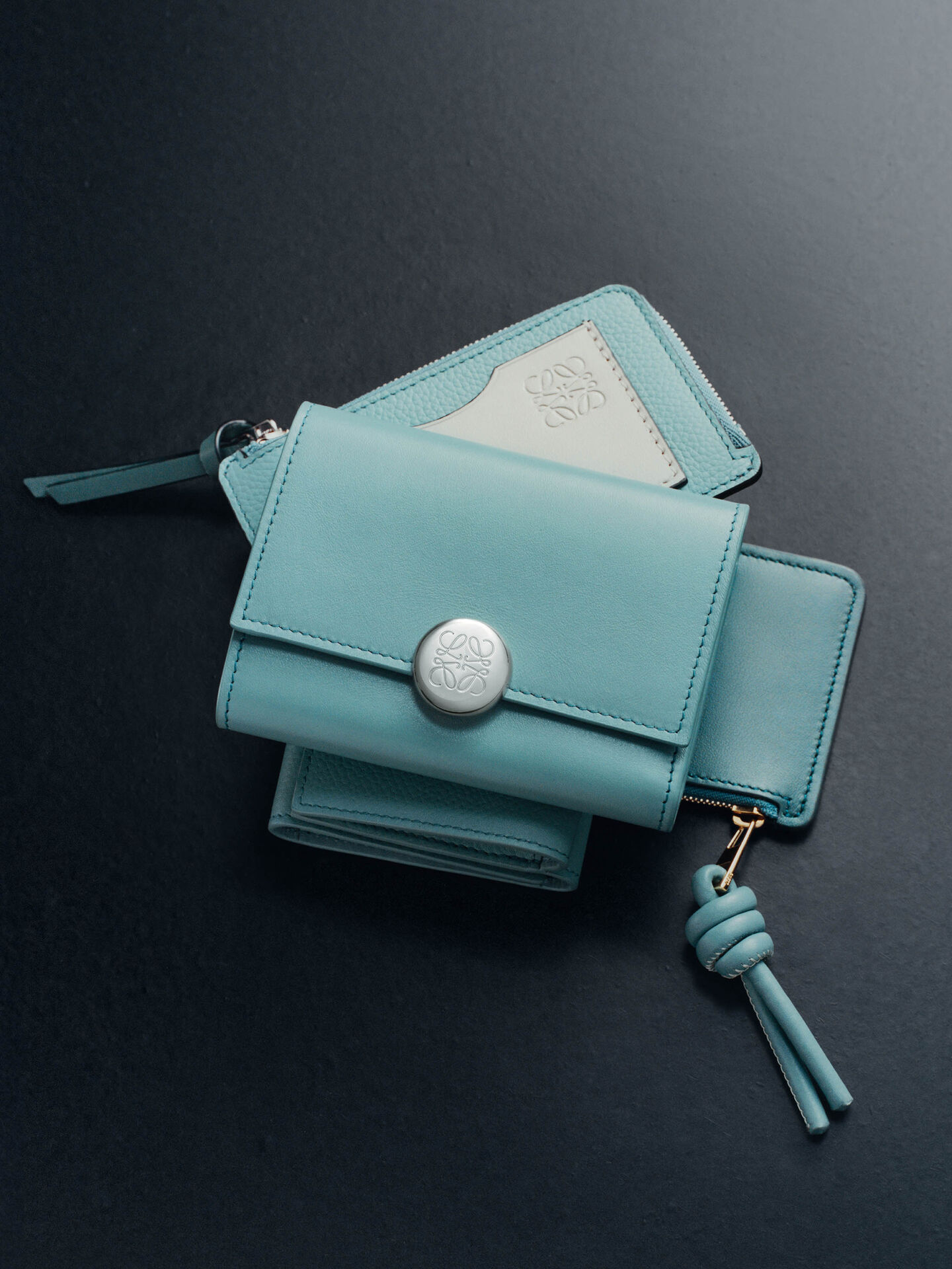 Luxury wallets & small leather goods for women - LOEWE