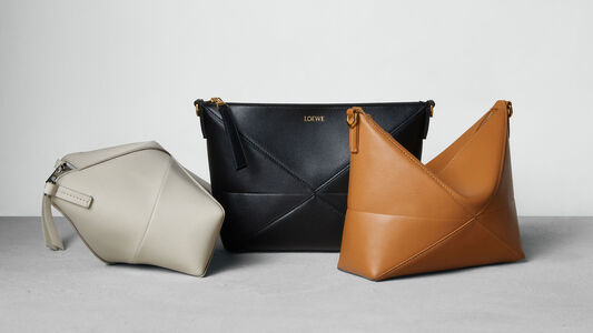 Luxury pouches & clutches for women - LOEWE