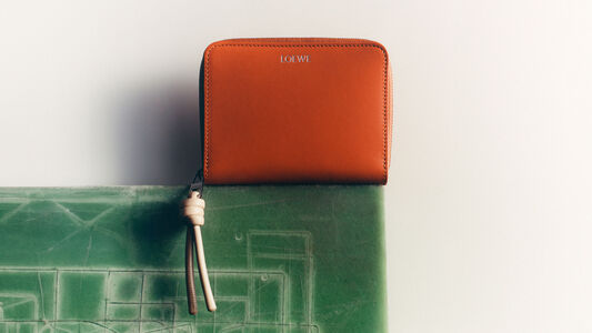 Luxury wallets & small leather goods for women - LOEWE