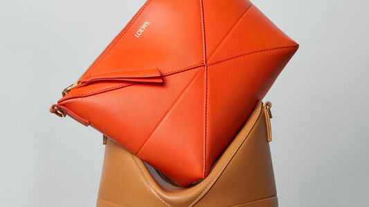 Luxury pouches & clutches for women - LOEWE