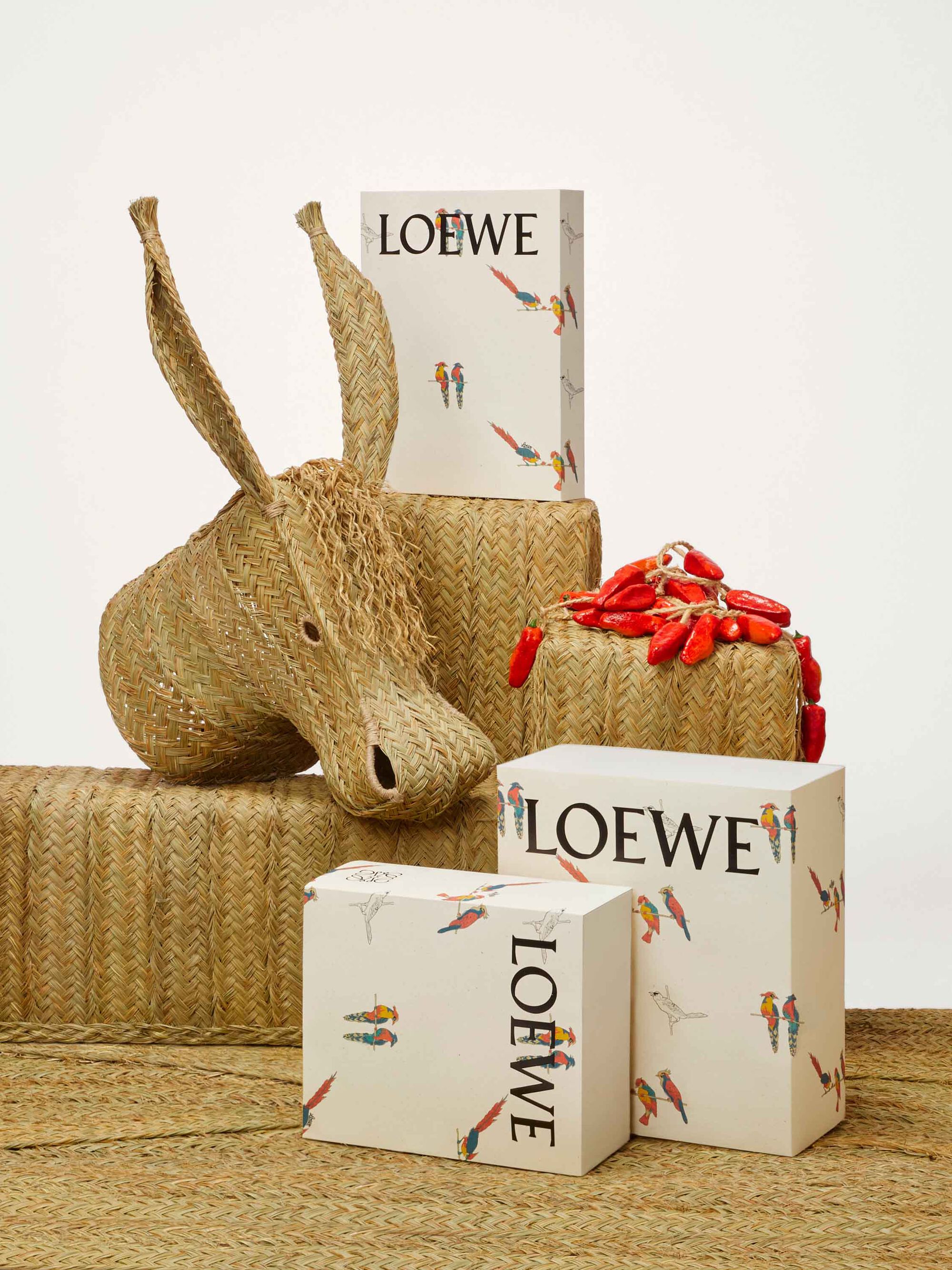 LOEWE | reinventing craft and leather