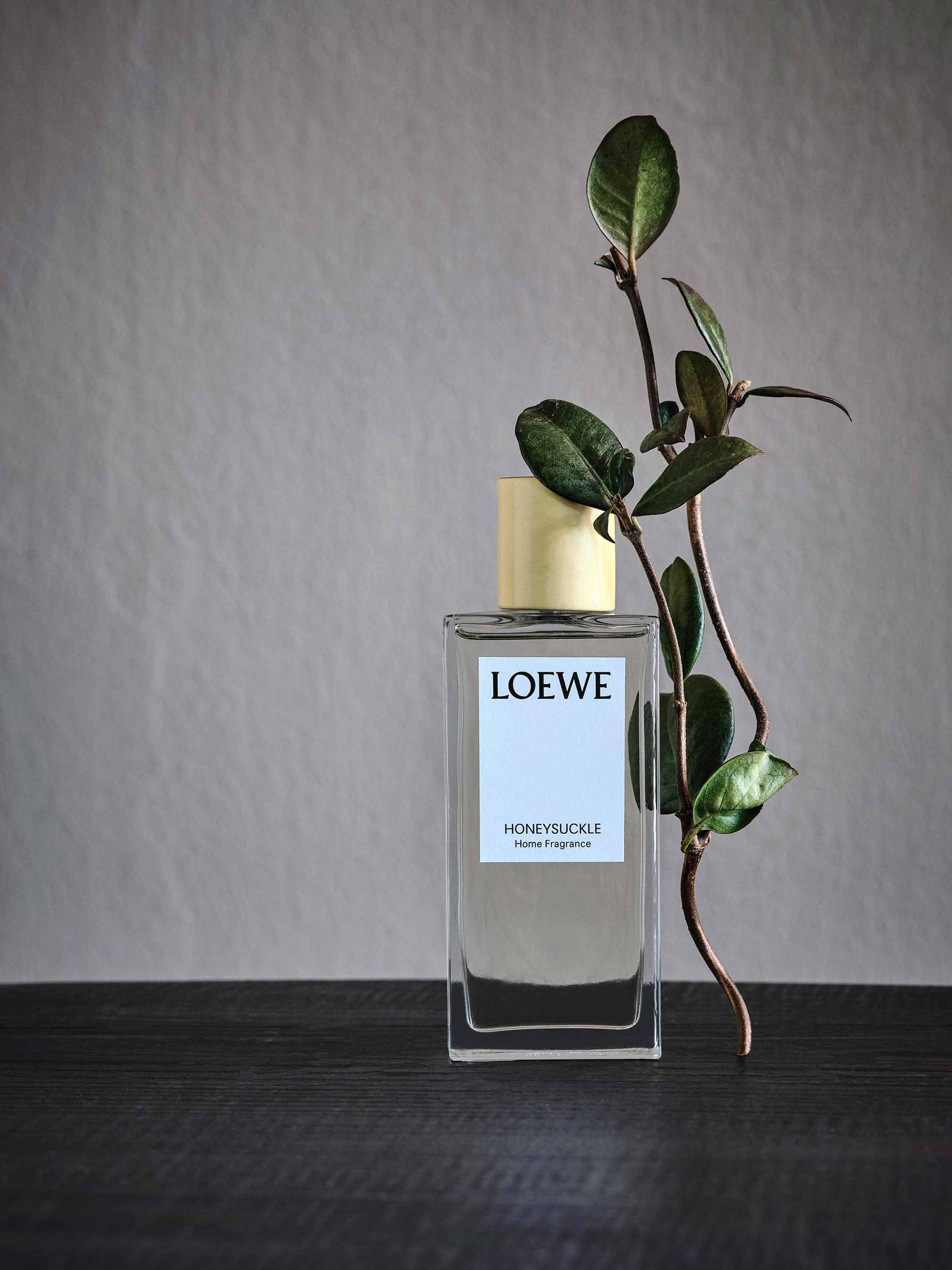 All home scents - LOEWE