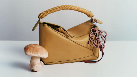 Women's Luxury Designer Keychain & Bag Charms - LOEWE - LOEWE