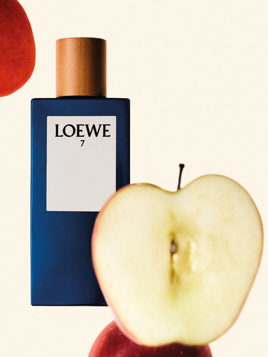 Luxury gifts collection | Designer gifts for women & men | Loewe - LOEWE
