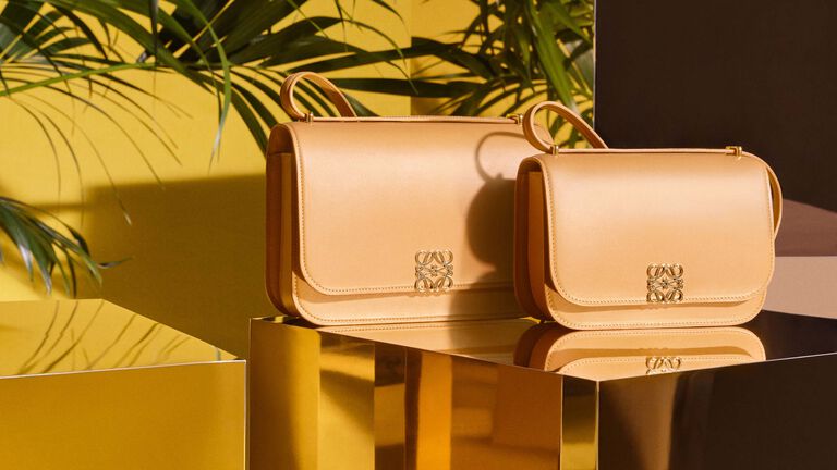 Luxury Goya Bags for women | LOEWE Official Site