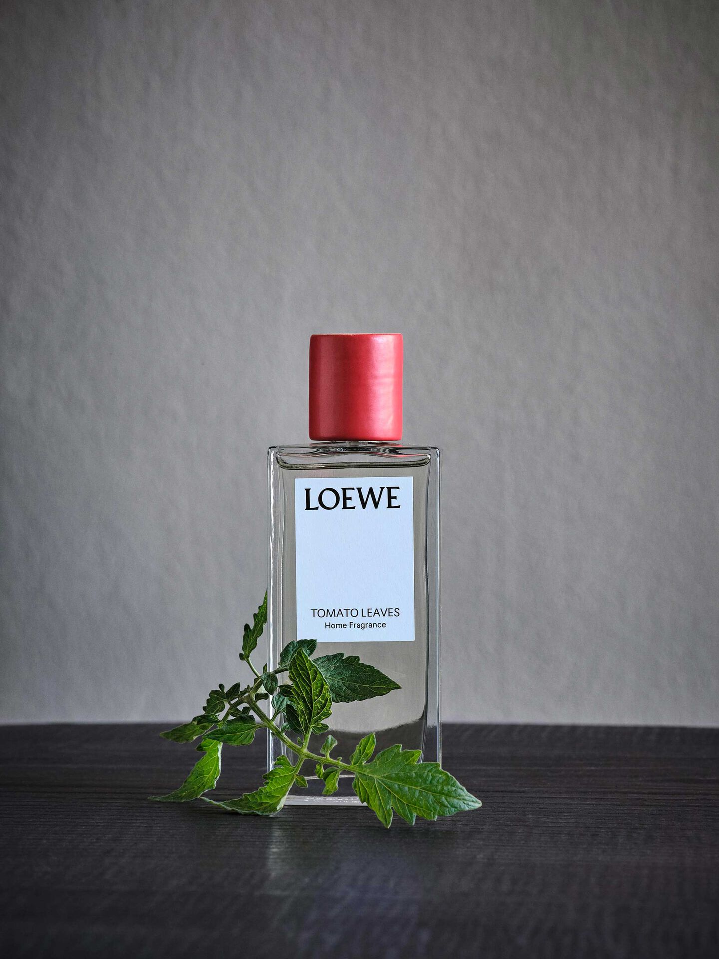 Tomato leaves room diffuser Red - LOEWE