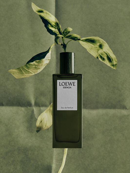 Luxury gifts ideas for men · Gifting LOEWE - LOEWE