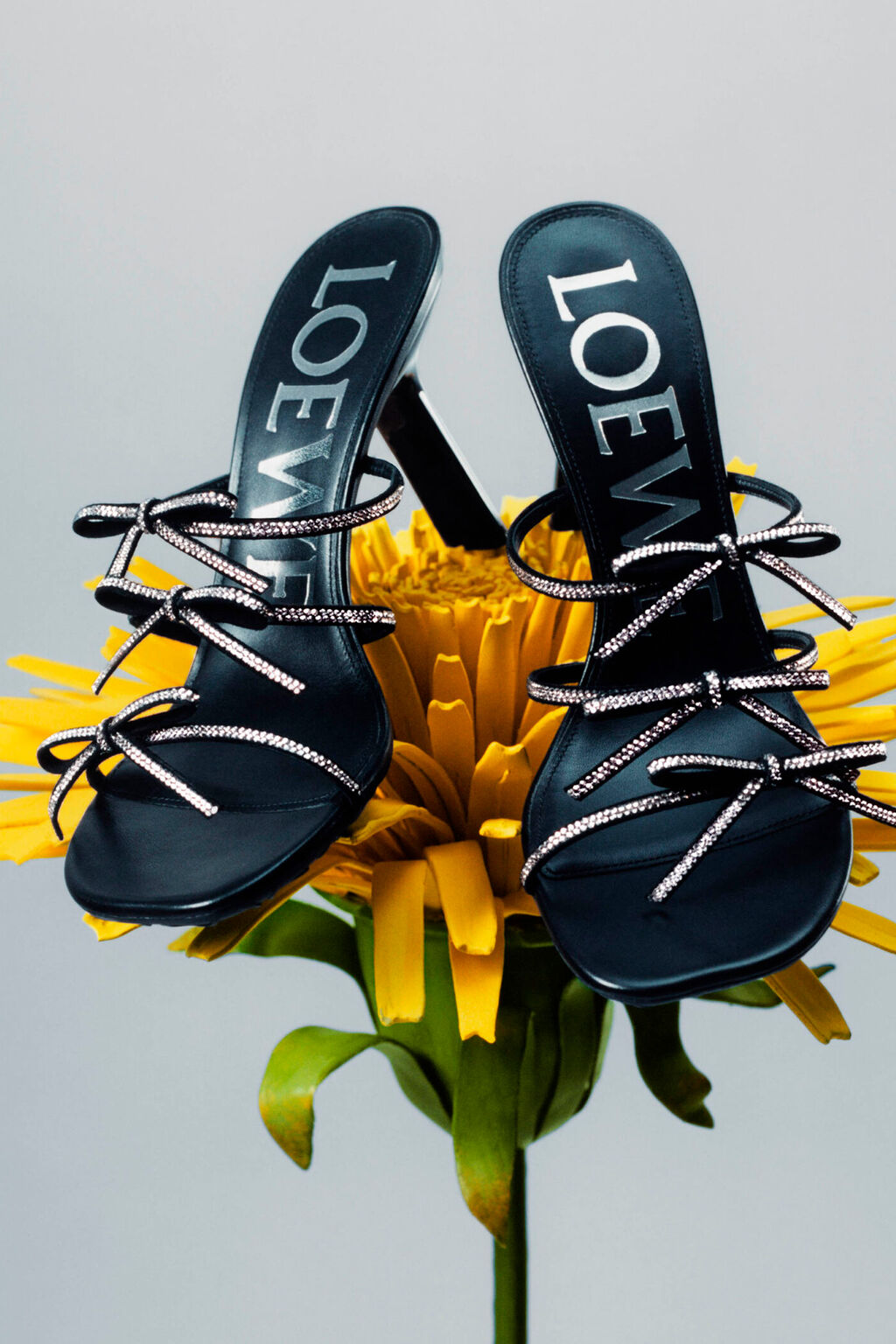 Bienvenue sur LOEWE.com · Site officiel