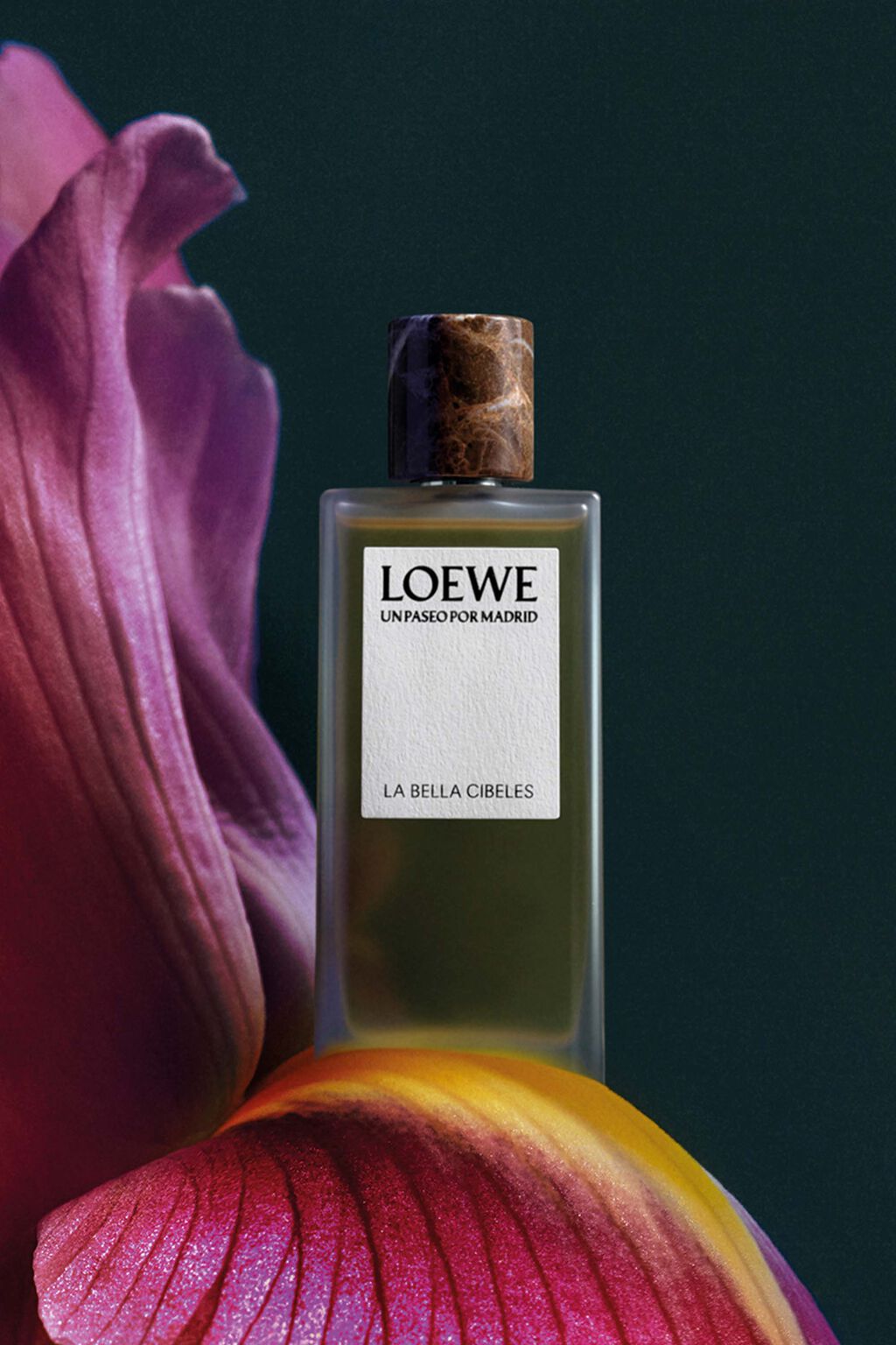 Loewe Campaigns - LOEWE