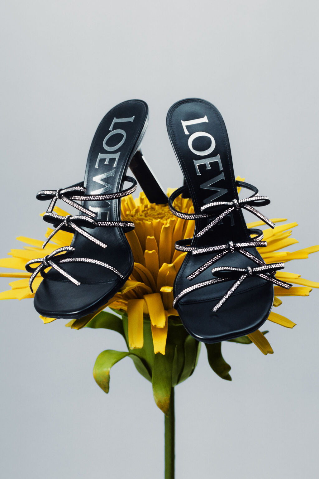 LOEWE PERFUMES CAMPAIGN 2024 | Unisex perfume and Home fragrances