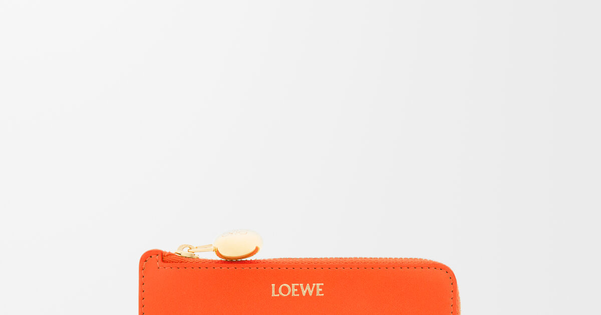 Luxury wallets & small leather goods for women - LOEWE
