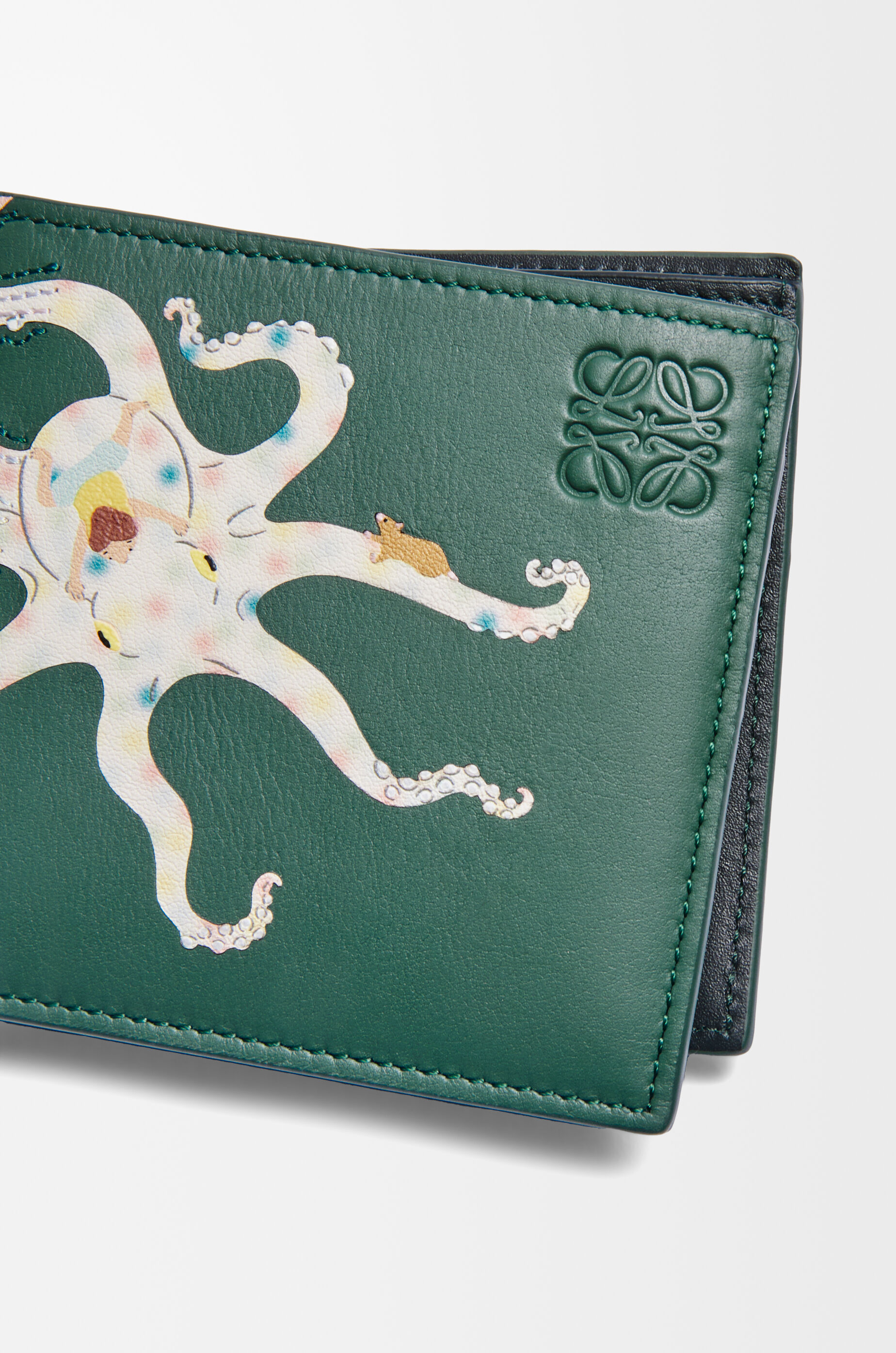Octopus bifold coin wallet in nappa calfskin Vetiver - LOEWE