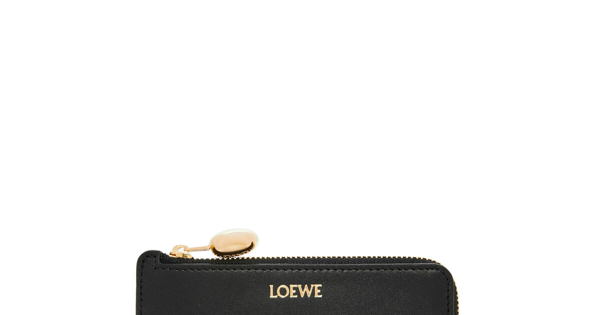 LOEWE Women's SS24 Collection - Wallets & SLG - LOEWE