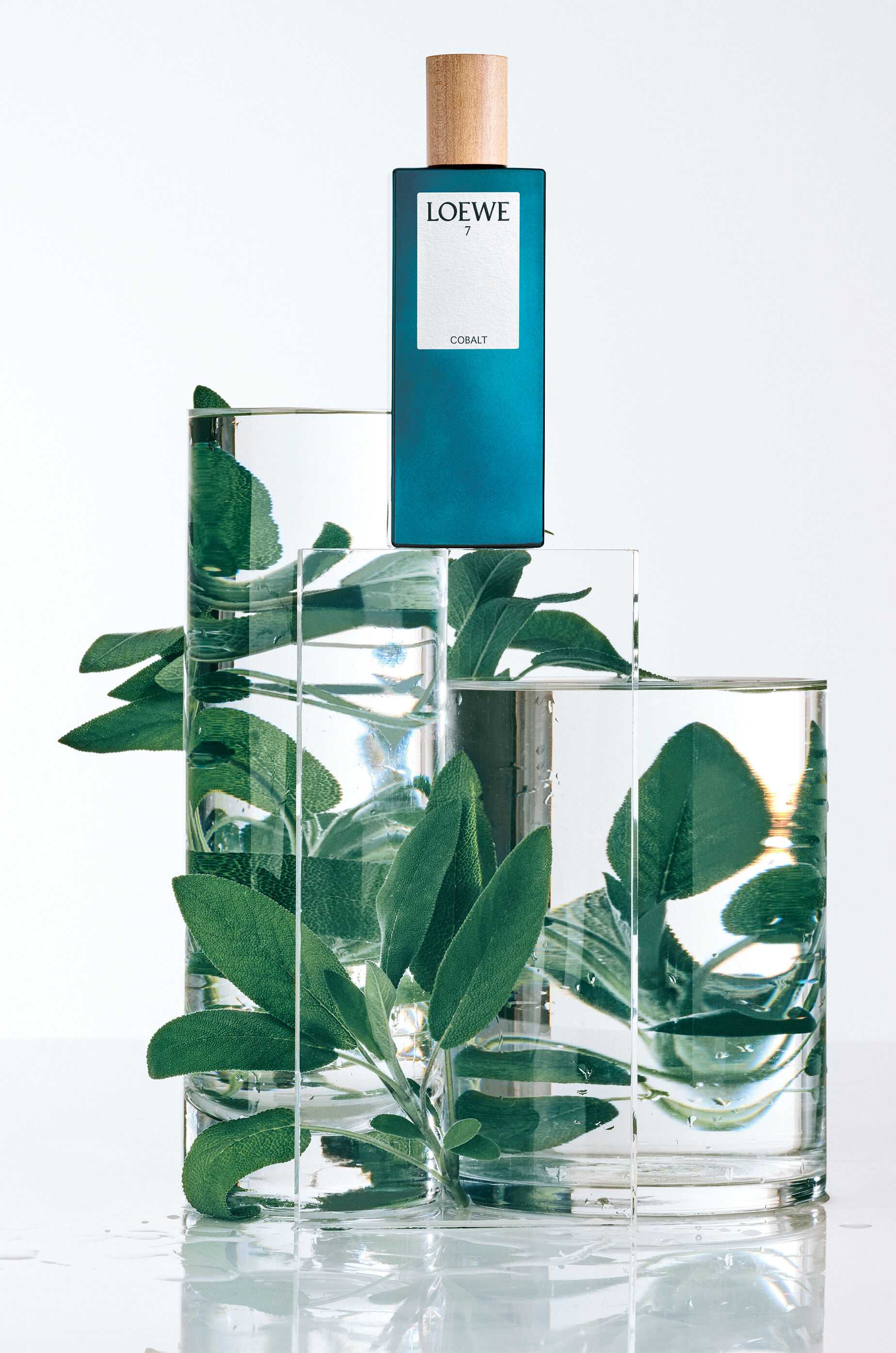 LOEWE 7 Cobalt Eau de Parfum 50ml - LOEWE