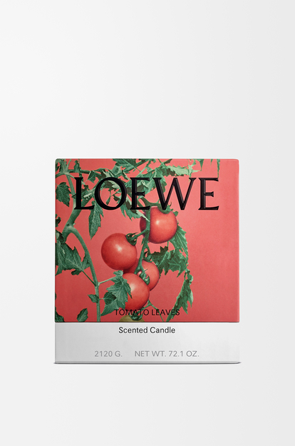 全新家居香氛 · LOEWE香氛系列 - LOEWE