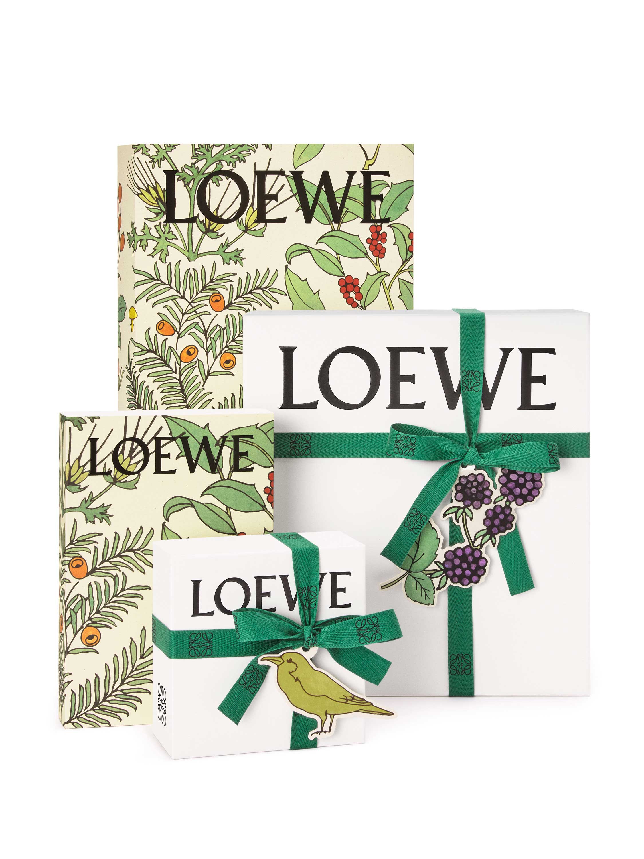 LOEWE FOUNDATION x Ghibli Museum - LOEWE